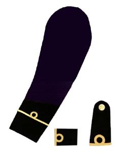 Grados y Equivalencias